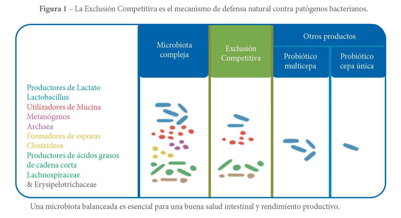 La exclusión competitiva está ganando popularidad a nivel mundial ...