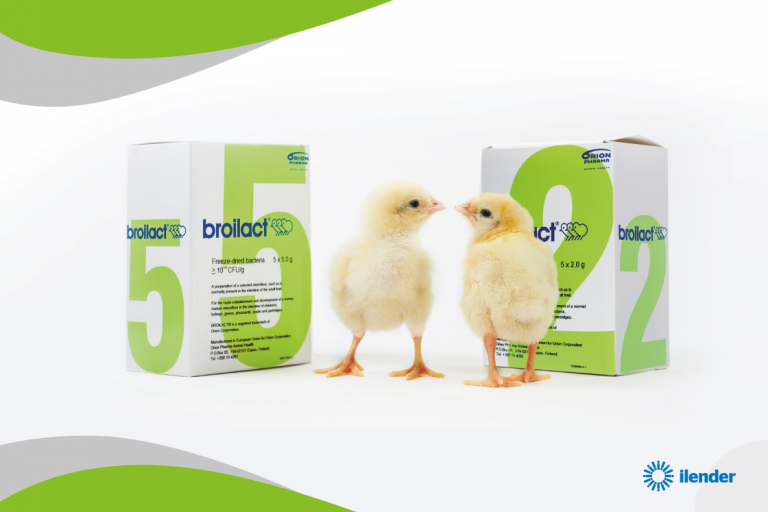 broilact-exclusion-competitiva - ilender Corporation